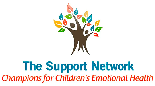 The Support Network - The Consortium